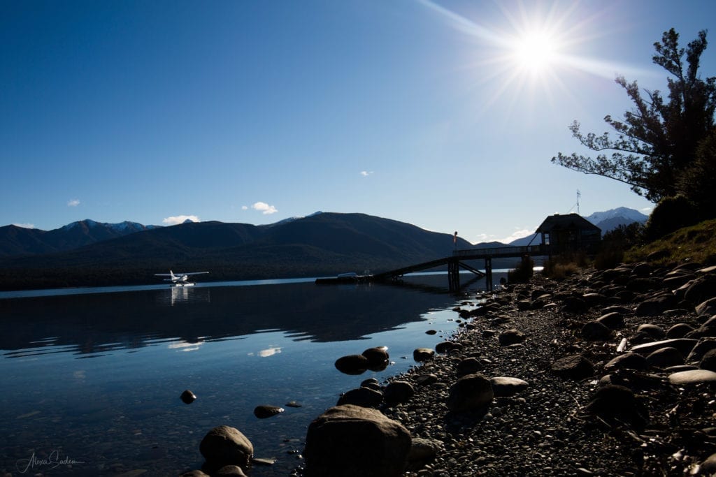 Environmental Sustainability in New Zealand | Volunteer Abroad