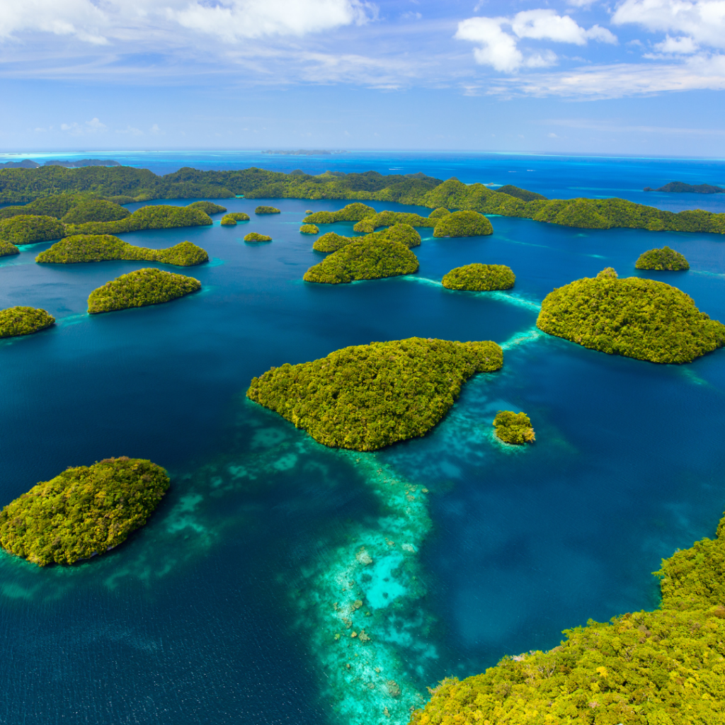 Exploring Hidden Educational Gems in the South Pacific | CISaustralia